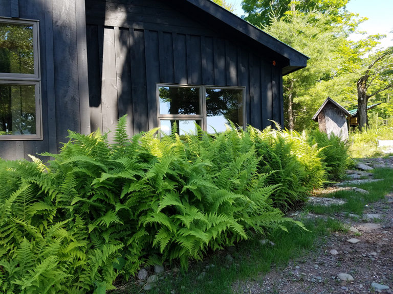 Johnny D Blog | Make your world!